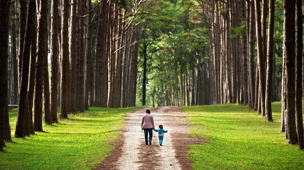 Tips And Tricks For Non-Nature Lovers - Your Chamilia